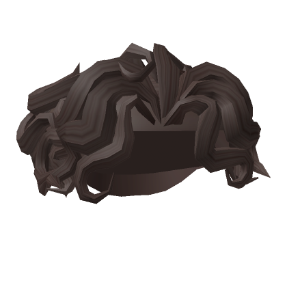 Cheveux Courts Boucl S Marron Roblox