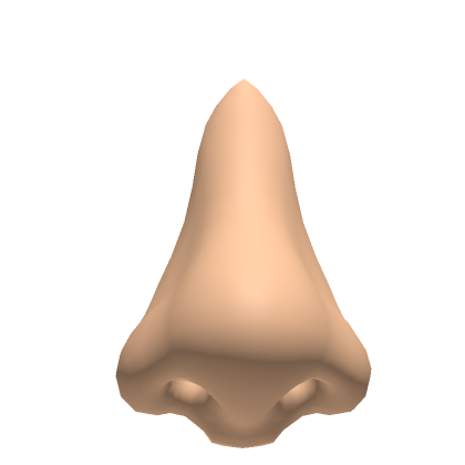 Realistic Nose Roblox