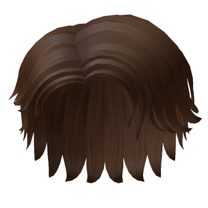 Side Swept Hair Roblox