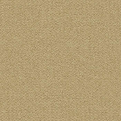 backrooms floor/carpet texture