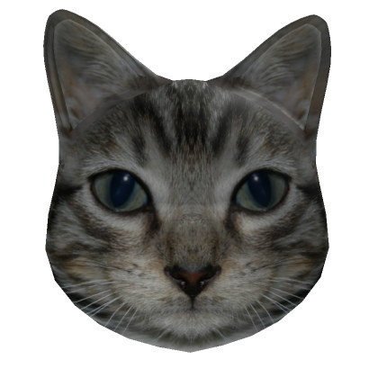 Real Cat roblox mask | Roblox Item - Rolimon's