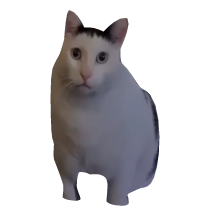 Huh cat | Roblox Item - Rolimon's