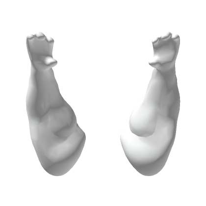 Mega Bacon Arms | Roblox Item - Rolimon's