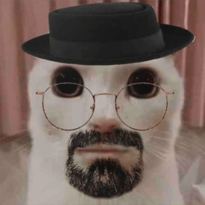 Breaking Cat PFP | Roblox Item - Rolimon's