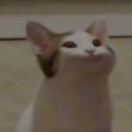 Pop Cat Kitten PFP Profile Picture | Roblox Item - Rolimon's