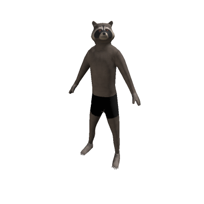 Raccoon - Roblox