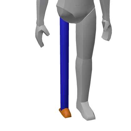 Baldi - Right Leg | Roblox Item - Rolimon's