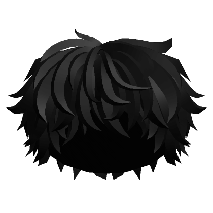 Black Messy Wavy Curly Fluffy Boy Hair | Roblox Item - Rolimon's