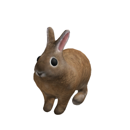 Bunny Suit | Roblox Item - Rolimon's