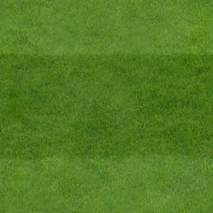 Sonic Green Hill Grass Texture