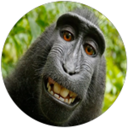 sigma monkey - Roblox