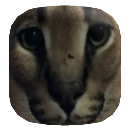 Floppa | Roblox Item - Rolimon's