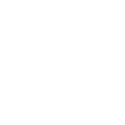 Asset Preview