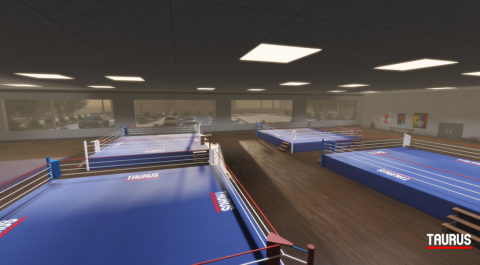 Taurus Boxing Gym | KILL ALL PLAYERS OPEN SOURCE Boxing Game — Roblox ...