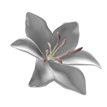 White Stargazer lily | Roblox Item - Rolimon's