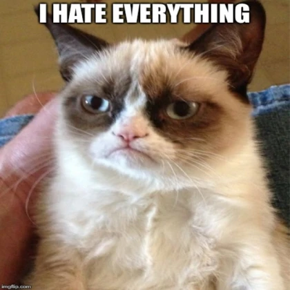 Grumpy Cat meme “I hate everything”