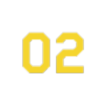Number 02 (USAF Yellow)