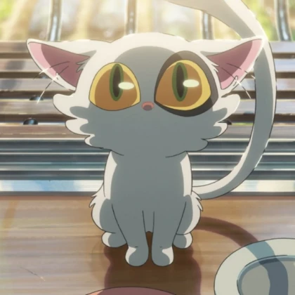Suzume cat
