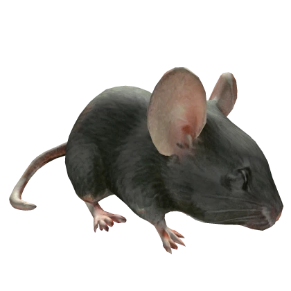 Massive Cute Funny Mouse Pet | Roblox Item - Rolimon's