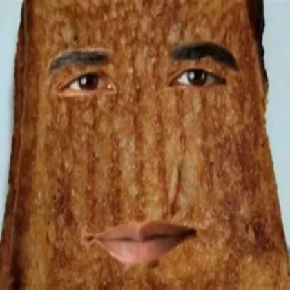 Obama grilled cheese sandwich