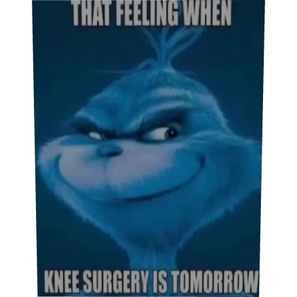 That feeling when knee surgery is tomorrow meme | Roblox Item - Rolimon's