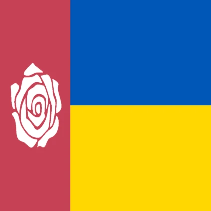 Democratic Socialist Ukraine