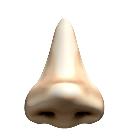 nose | Roblox Item - Rolimon's