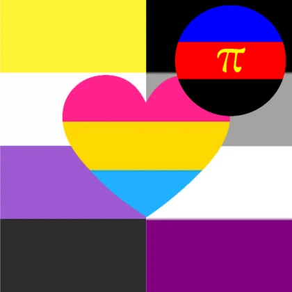 Nb, Ace, Panrom and Polyam Pride Flag Combo
