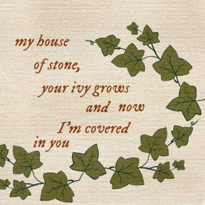 taylor swift evermore ivy lyrics!