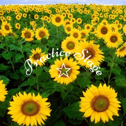 flower comp ora practice stage