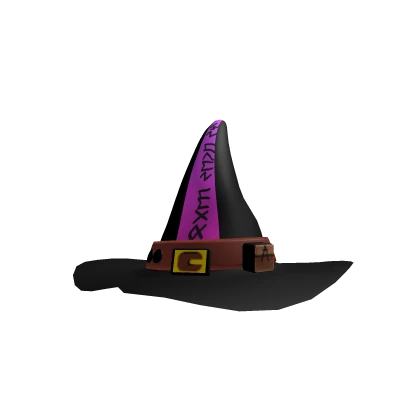 Darkseed Wizard Robes Hat | Roblox Item - Rolimon's