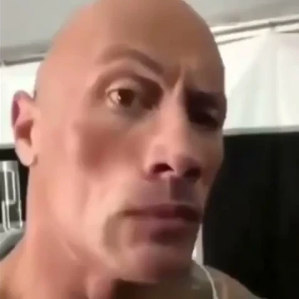 The Rock Sus Face