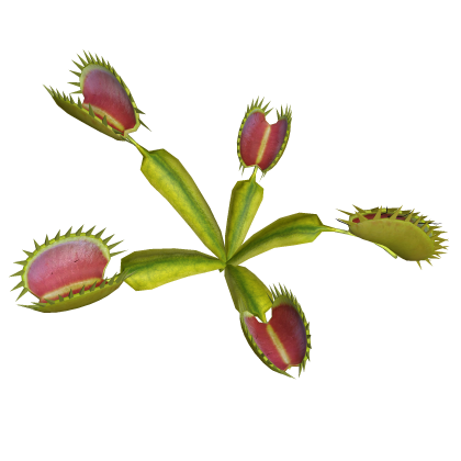 Venus Flytrap Roblox