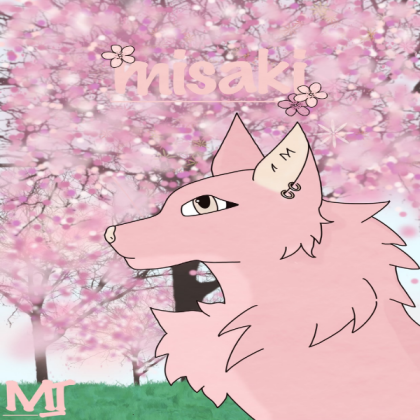 Misaki