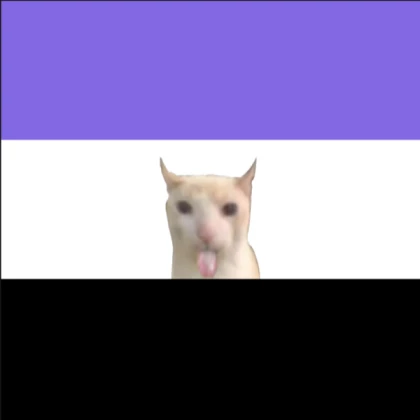 Silly flag