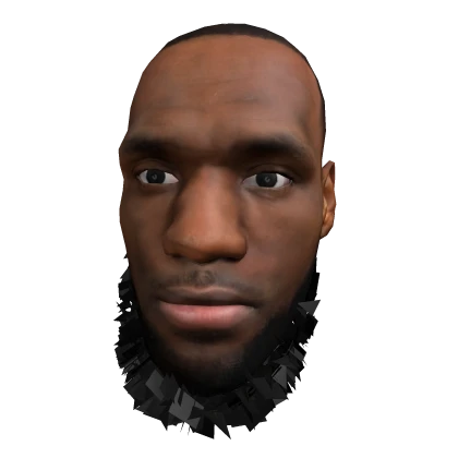 Lebron James | Roblox Item - Rolimon's