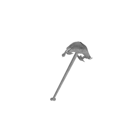 Asset Preview