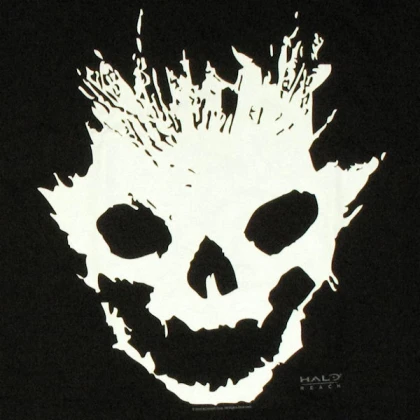halo skull