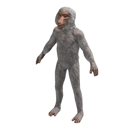 🙉 Baboon Suit Realistic Monkey Costume 🙉 | Roblox Item - Rolimon's