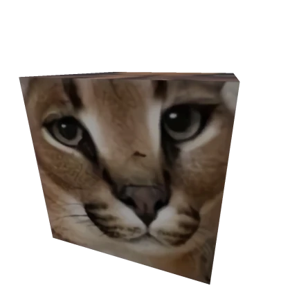 Vista previa del recurso