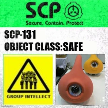 scp 131