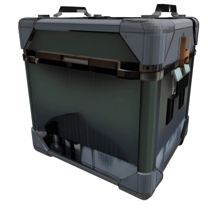 Anomaly Transport Container | Roblox Item - Rolimon's