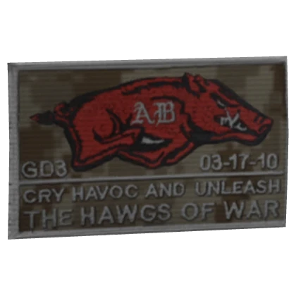 Hawgs of War AOR1 Boar Patch (DEVGRU) | Roblox Item - Rolimon's