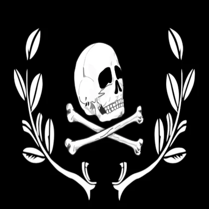 Anarchist flag