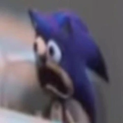 a sonic meme