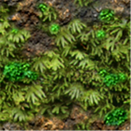 Sonic Adventure Texture - Emerald Coast Dirt Side