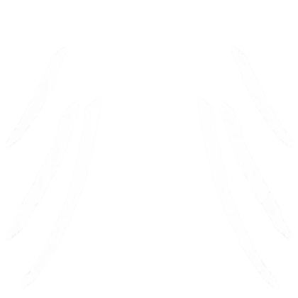 Wind effect