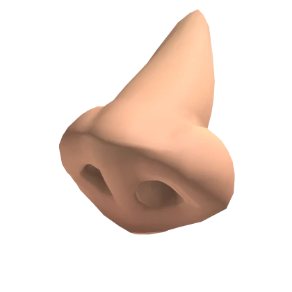 A Nose | Roblox Item - Rolimon's