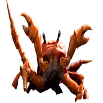 Crab
