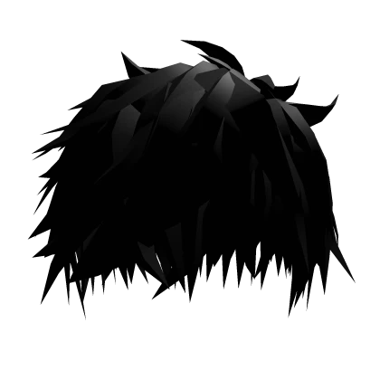 [🎁FREE] Black Fluffy Boy Hair | Roblox Item - Rolimon's